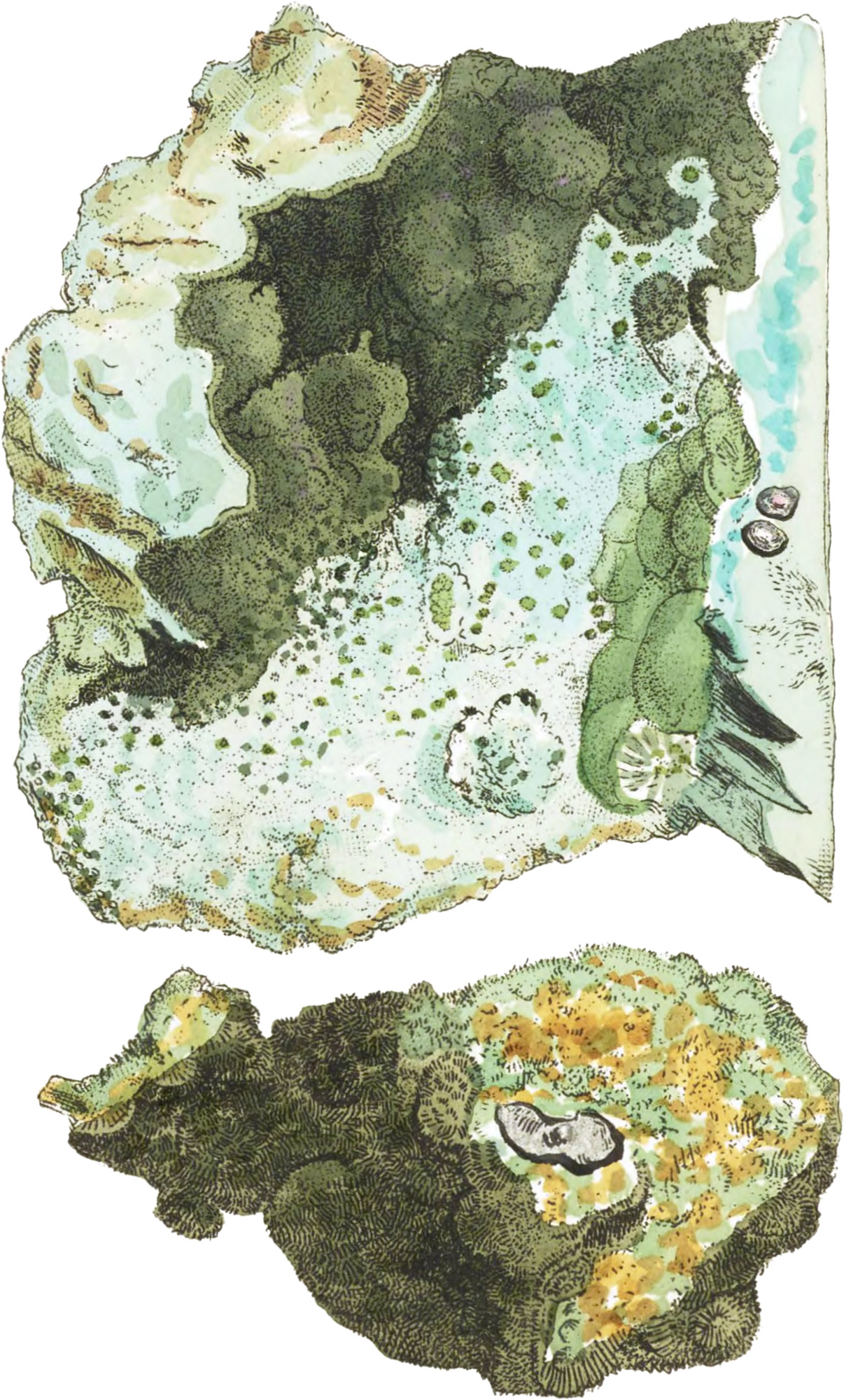 Phosphate of Copper - British & Exotic Mineralogy