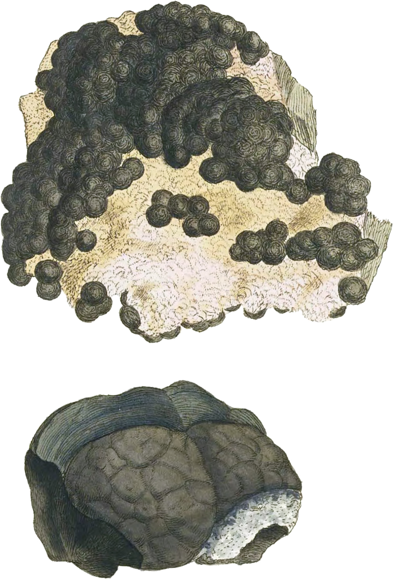 Native Arsenic - British & Exotic Mineralogy