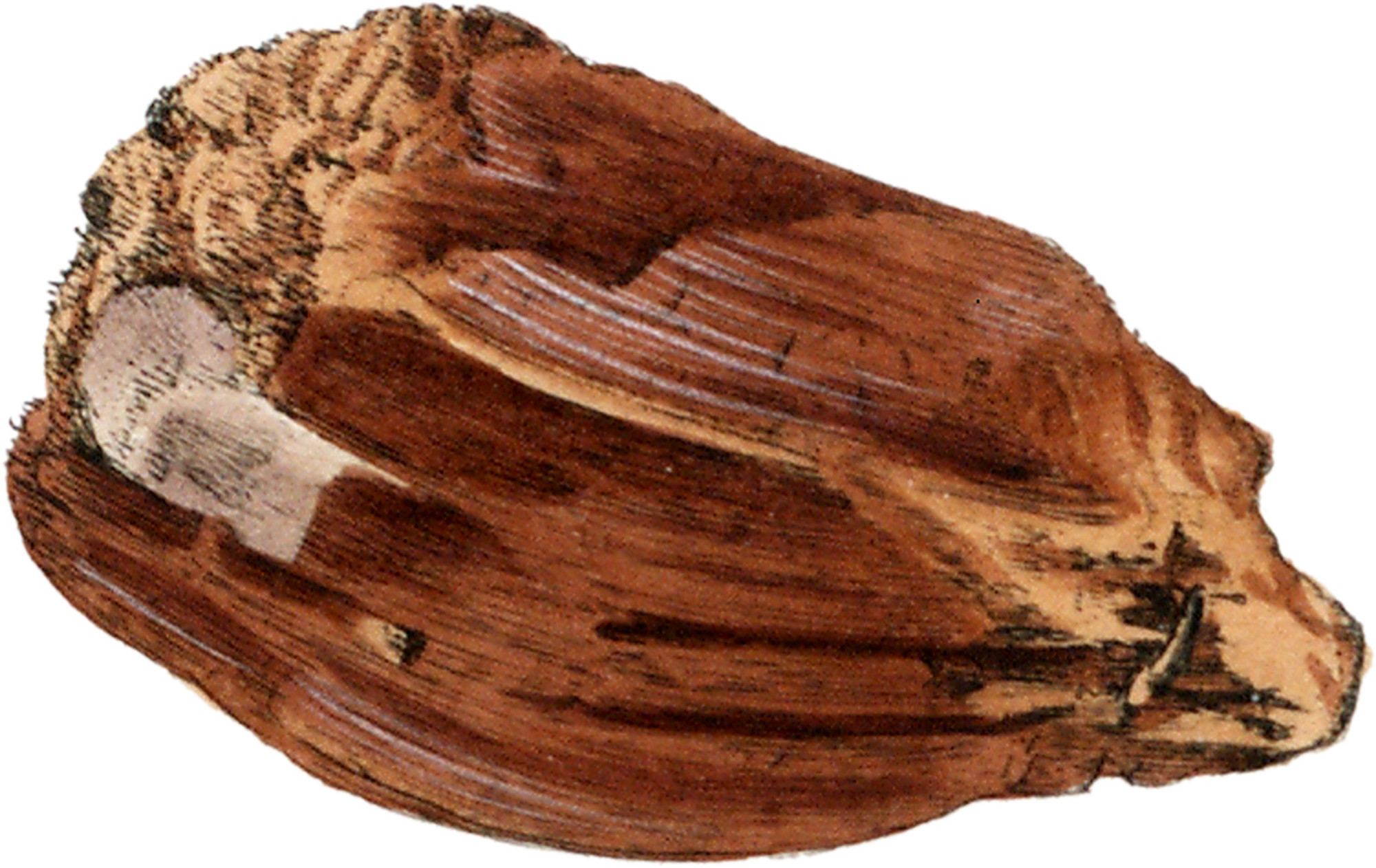 Polyhalite - British & Exotic Mineralogy